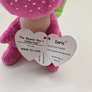 TY Beanie Boo “darla” the Pink Dragon! (6 Inch) - Etsy
