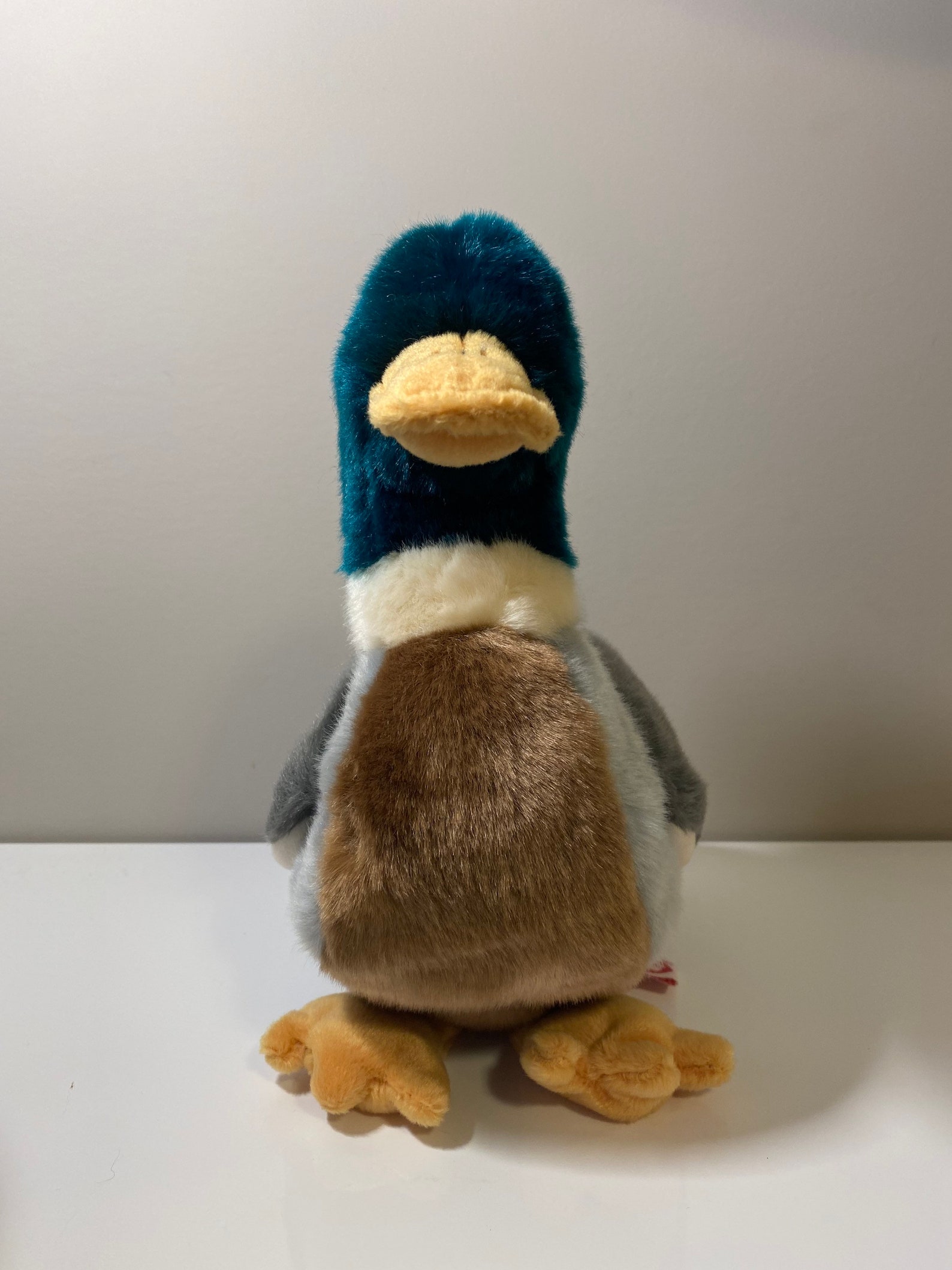 Ty Beanie Buddy “jake” the Mallard Duck (8.5 Inch) - Etsy
