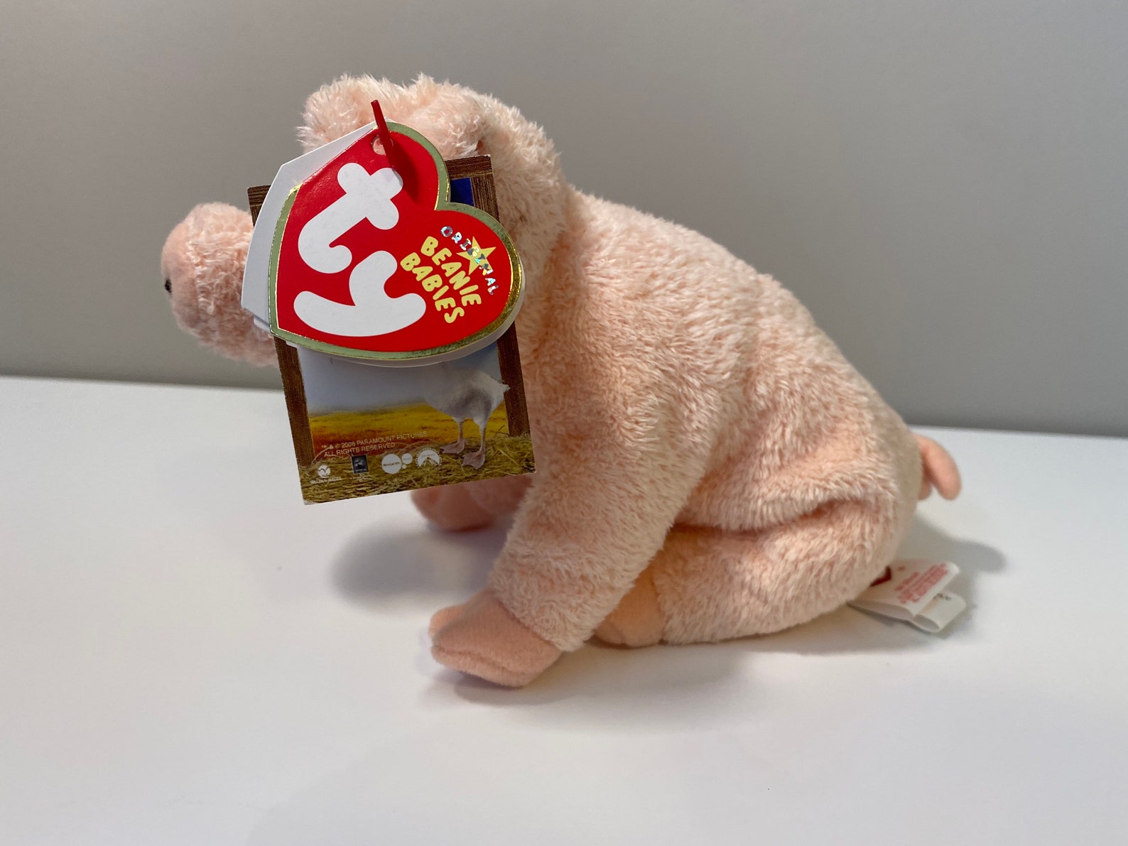 TY Beanie Baby wilbur the Pig Charlottes Web Movie Promo - Etsy