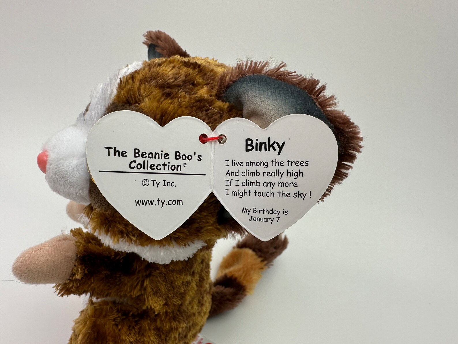 Ty Beanie Boo “binky” the Adorable Galago (6 Inch) - Etsy