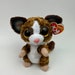 Ty Beanie Boo “binky” the Adorable Galago (6 Inch) - Etsy