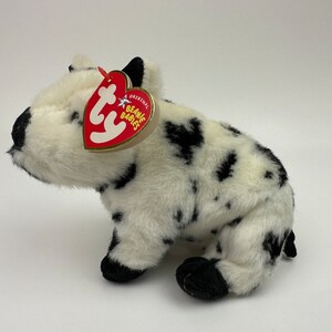 Ty Beanie Baby “stubby” the Black and White Pig ! *rare* (6.5 Inch) - Etsy