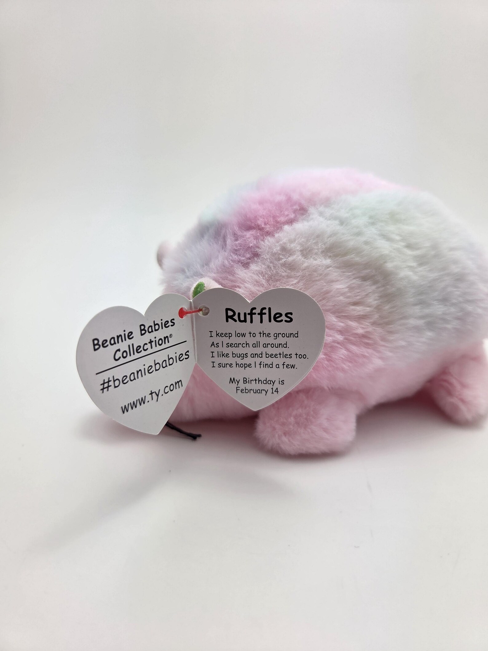Ty Beanie Baby Ruffles - Tie Dye Hedgehog, 30th Anniversary Edition (6 ...