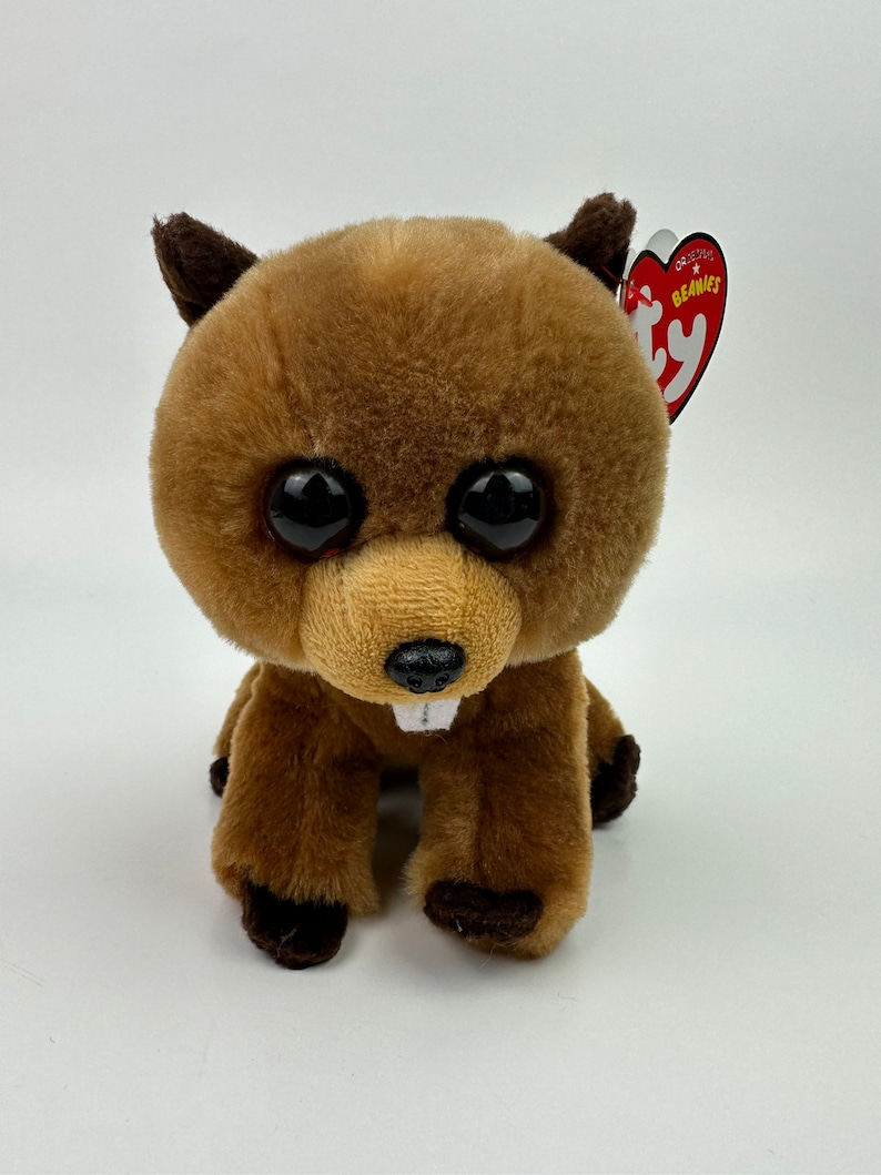 Ty Beanie Baby “richie” the Beaver (6 Inch) - Etsy