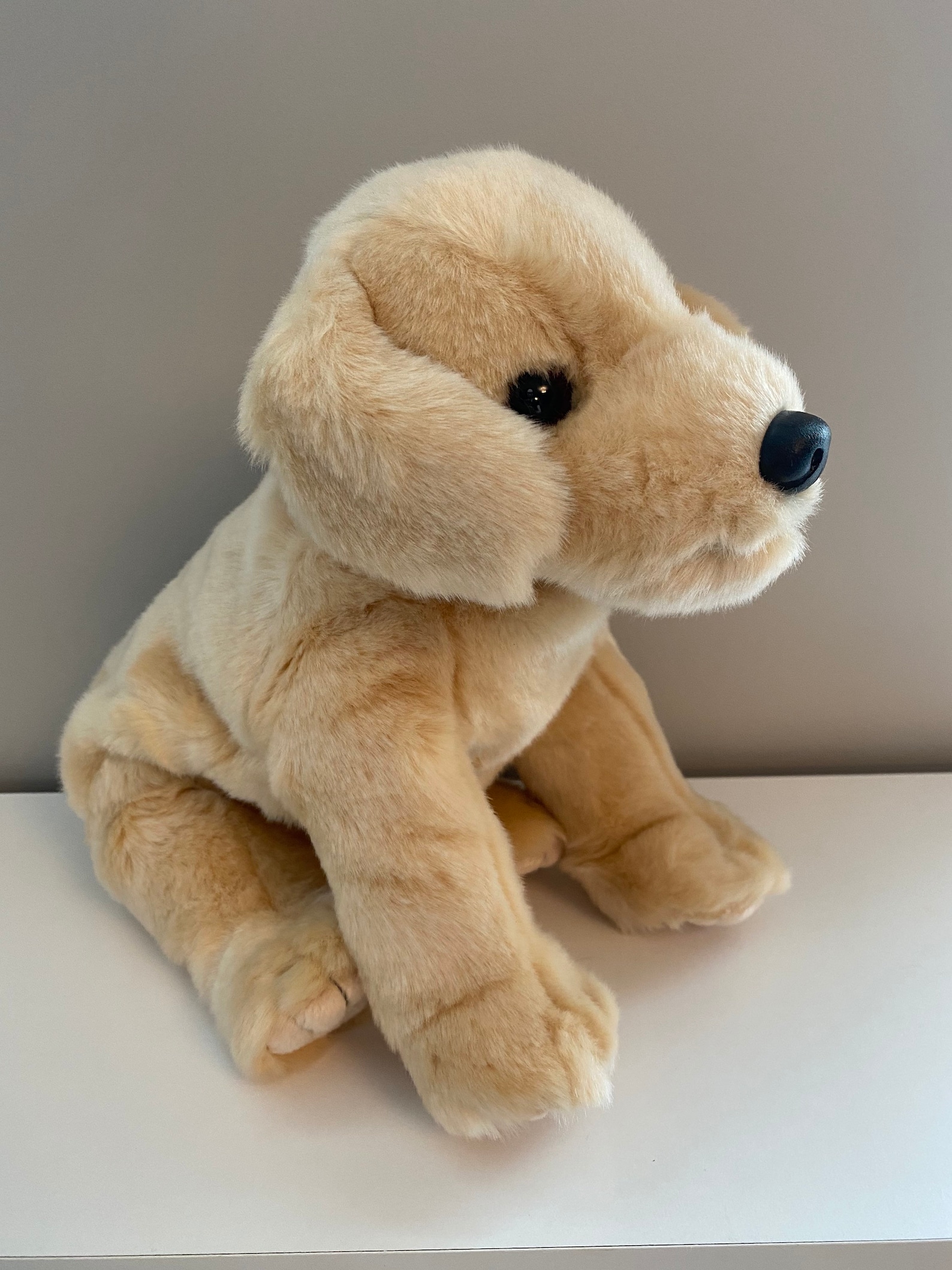 TY Beanie Buddy Fetch the Golden Retriever / Yellow Lab Dog | Etsy