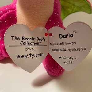TY Beanie Boo darla the Pink Dragon 6 Inch - Etsy