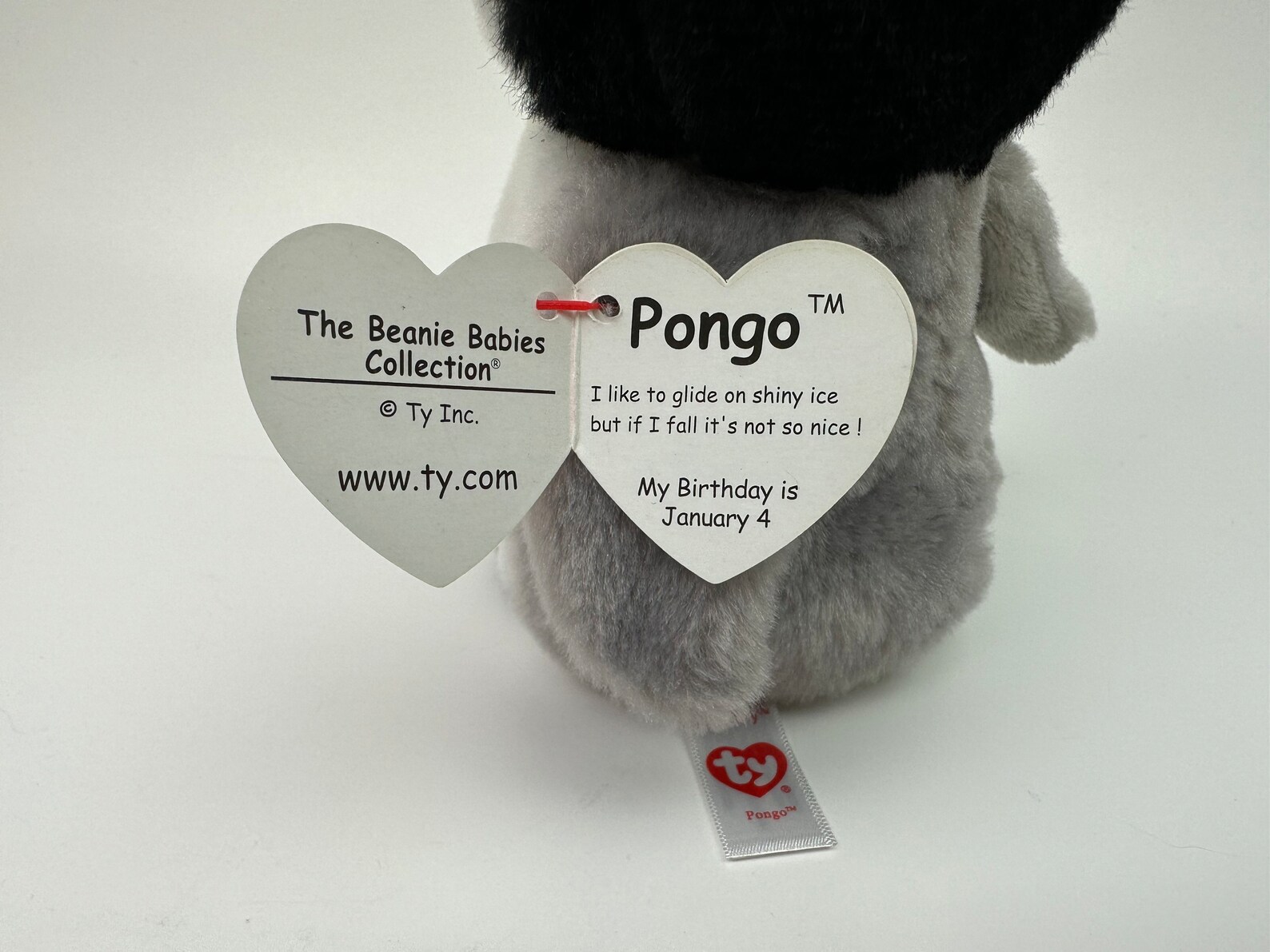 Ty Beanie Baby pongo the Penguin 6 Inch - Etsy