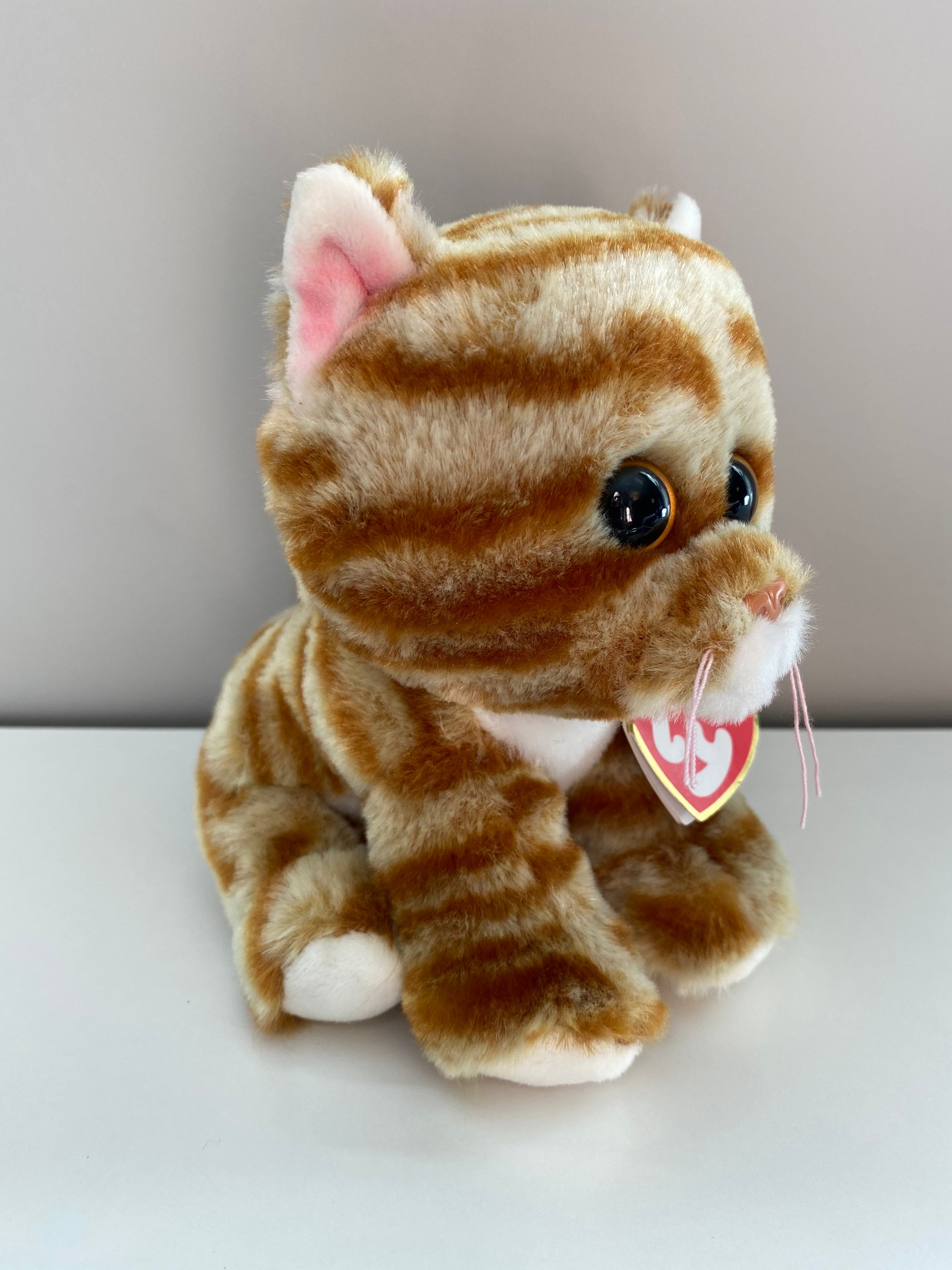 TY Beanie Baby Cleo the Adorable Tabby Cat Plush 6 inch | Etsy