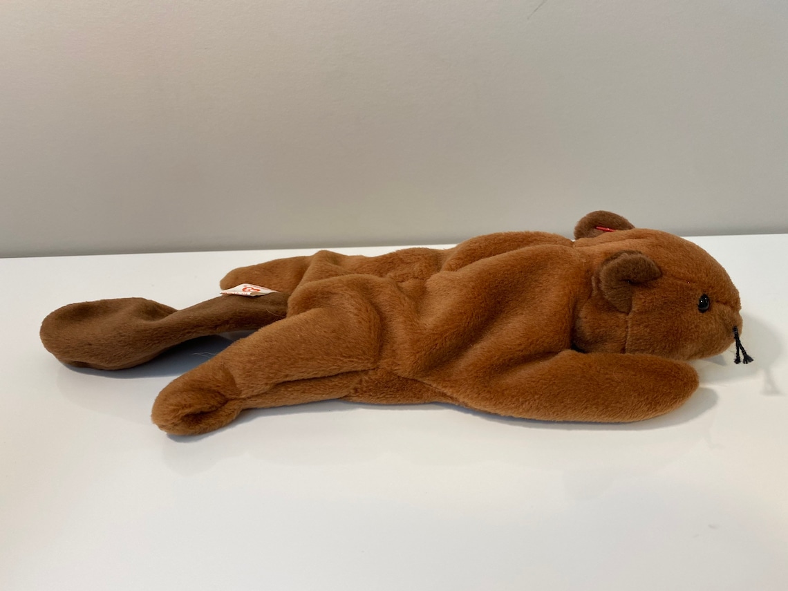 TY Beanie Baby Bucky the Beaver 8.5 inch | Etsy