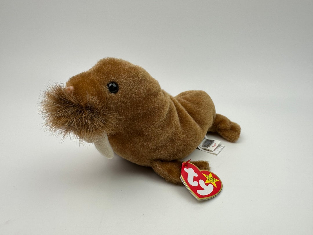 Ty Beanie Baby “paul” the Walrus! (7 Inch) - Etsy