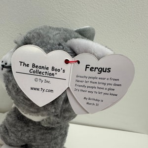 Ty Beanie Boo “fergus” the Cat (6 Inch) - Etsy