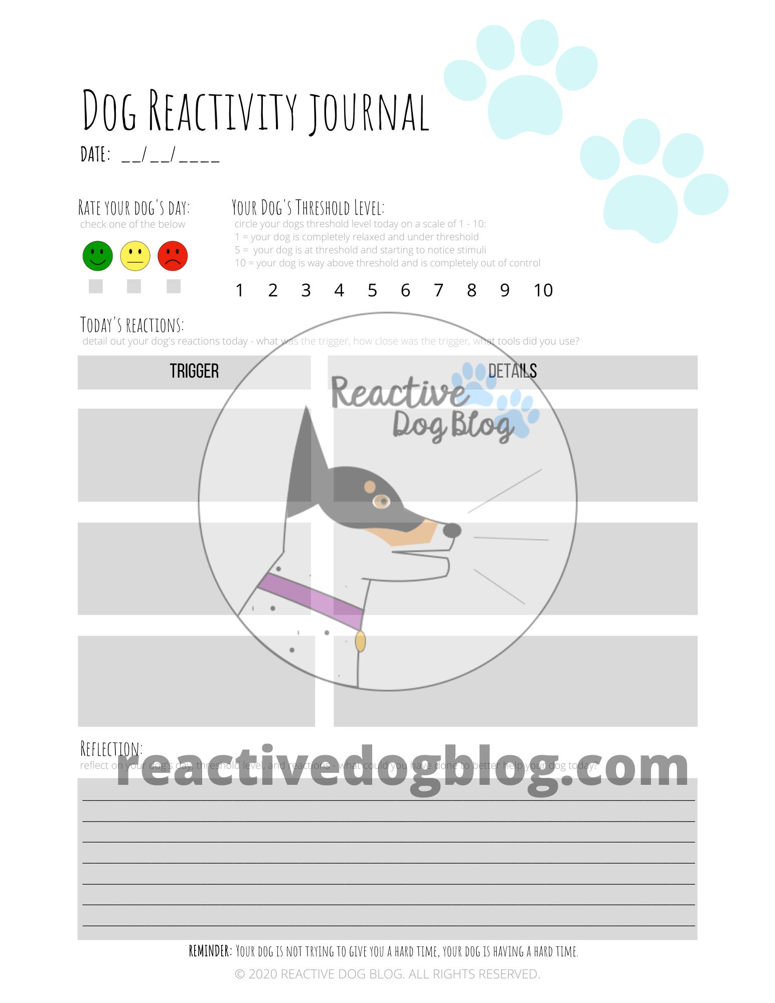 What Is Reactive Dog Behavior