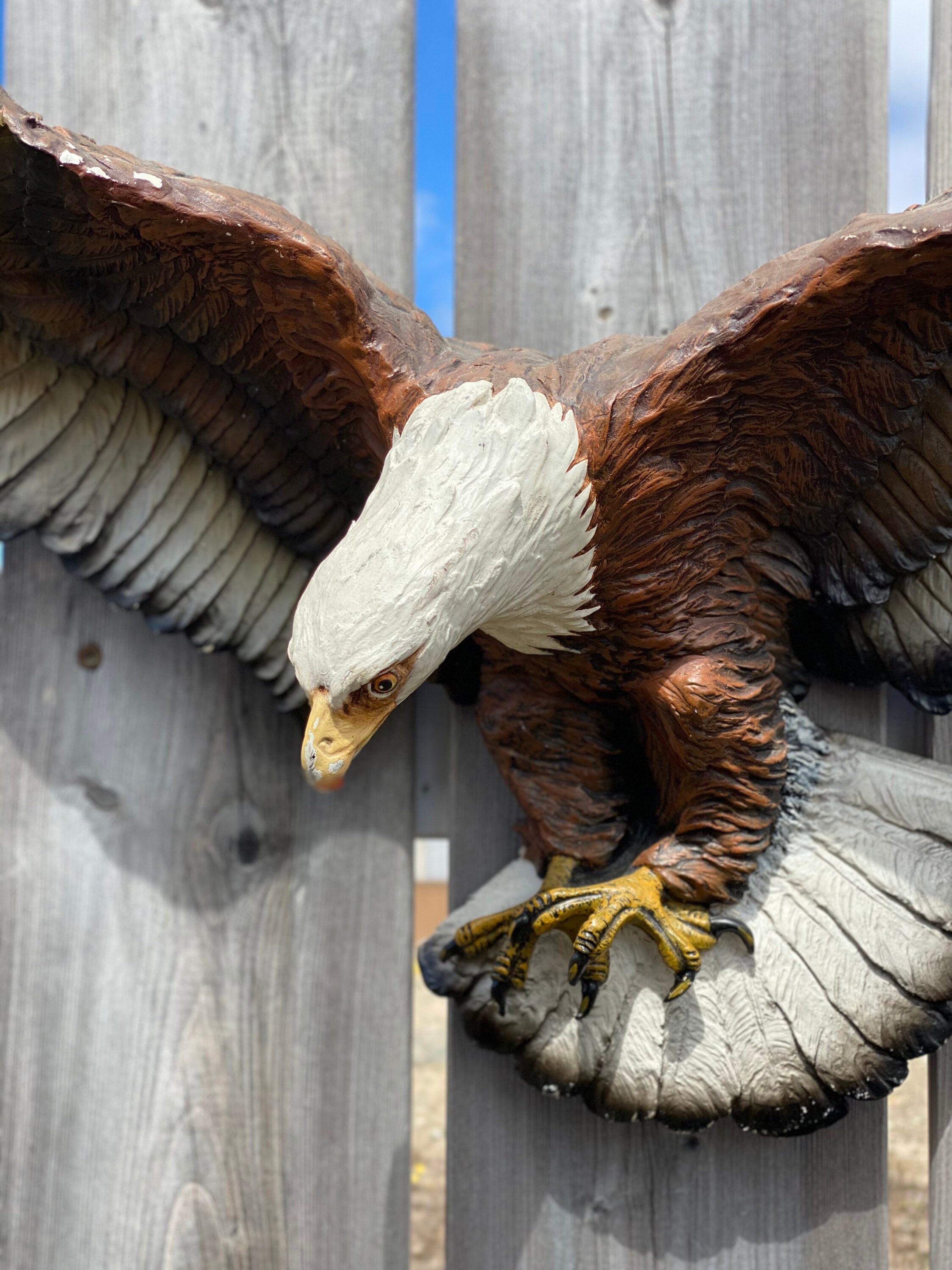 Vintage 1982 Bossons Fraser Art American Bald Eagle Wall | Etsy