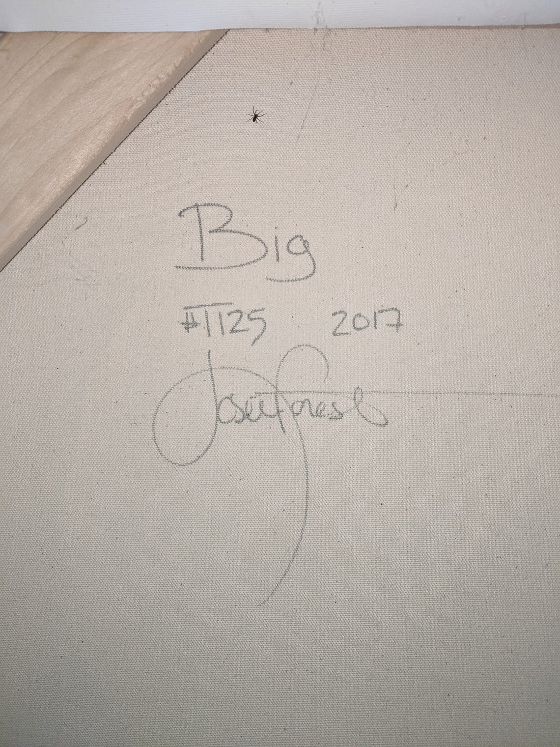 Big #T125 Original Josée Forest Acrylic - Etsy