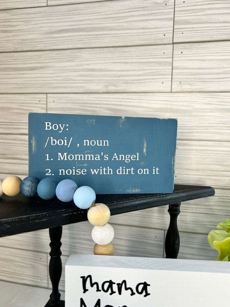 Boy Definition Tiered Tray Sign Boy Noise With Dirt on It - Etsy