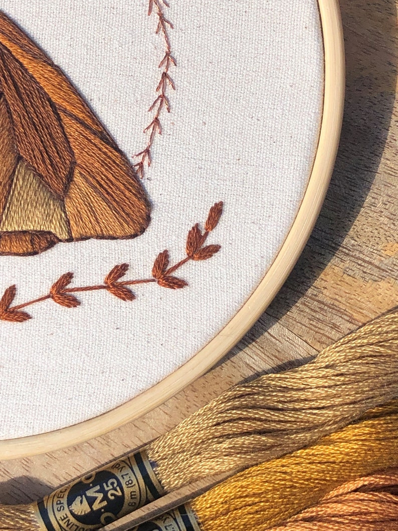 Moon Moth Embroidery Pattern Downloadable PDF Pattern | Etsy