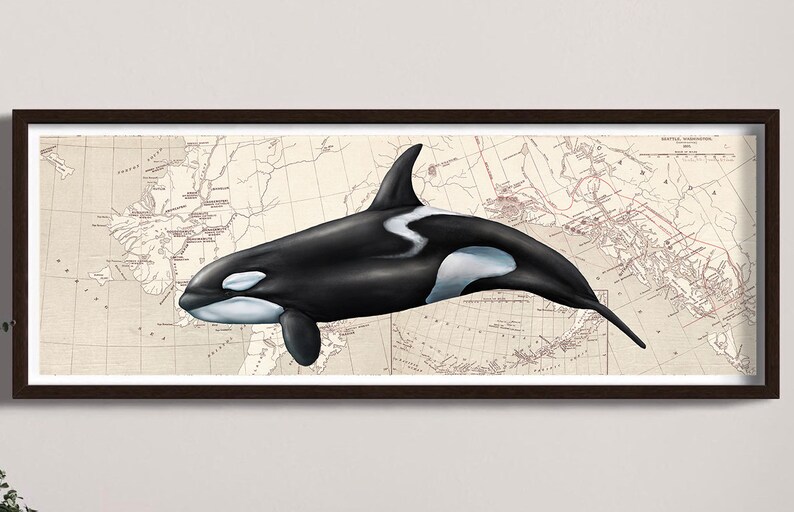 Orca Print/ Wall Art custom Map - Etsy