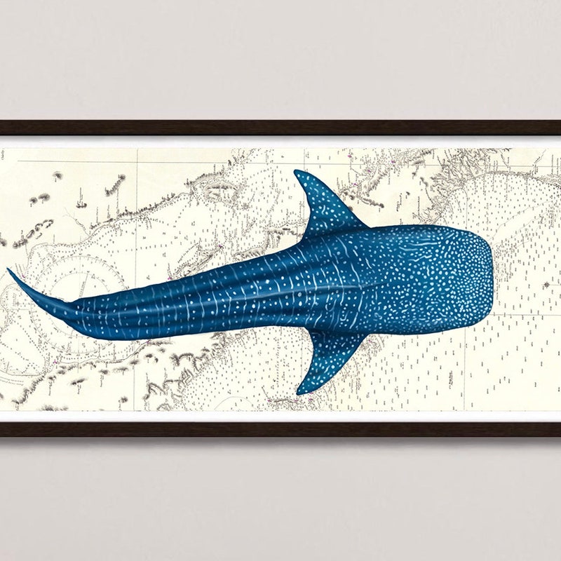 Shark Prints - Etsy