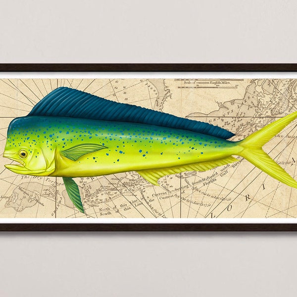 Mahi Mahi Art - Etsy