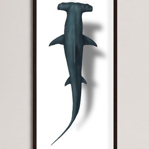 Great Hammerhead Shark Print/ Wall Art Top View - Etsy
