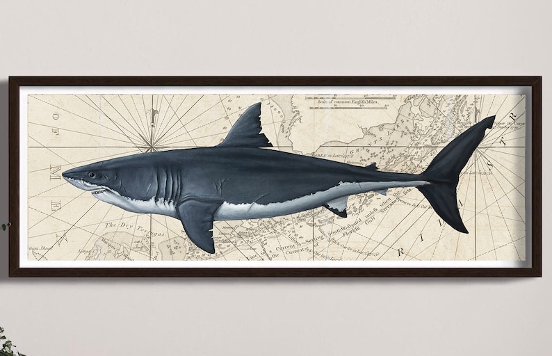 Great White Shark Print/ Wall Art custom Map - Etsy