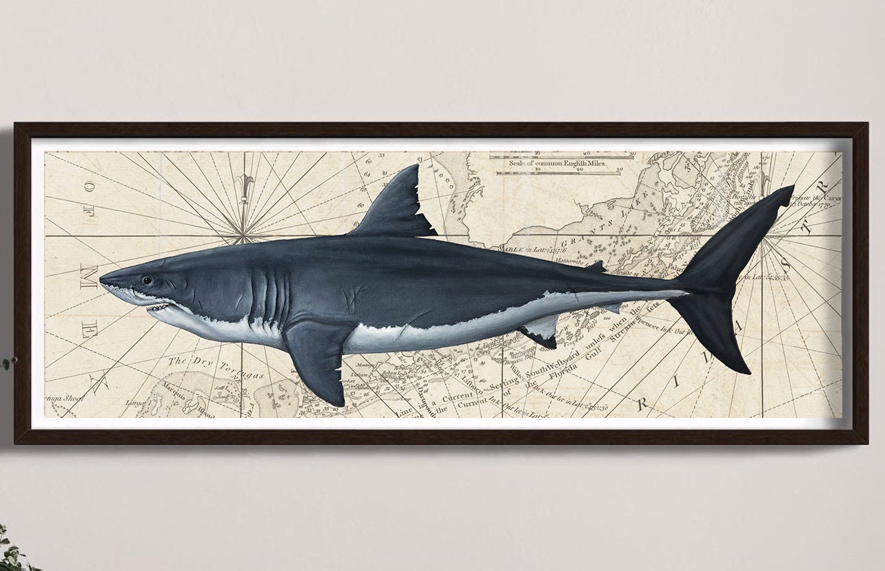 Great White Shark Print/ Wall Art custom Map - Etsy