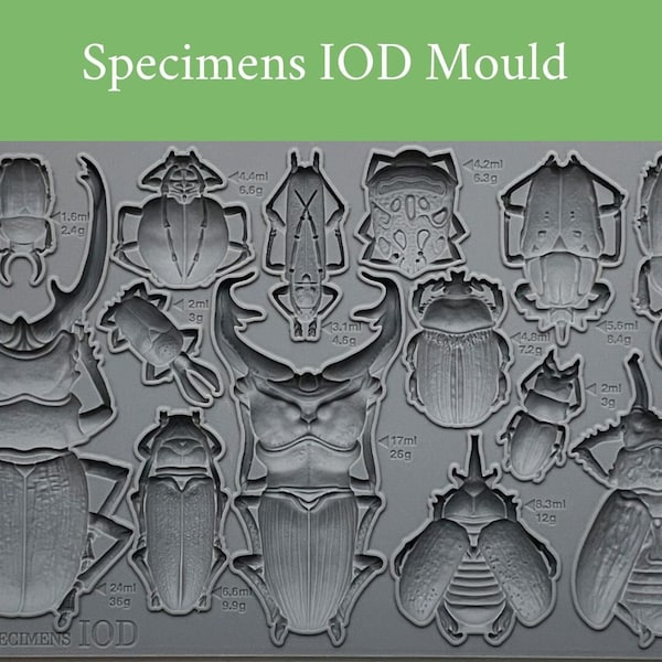 Bug Mold - Etsy