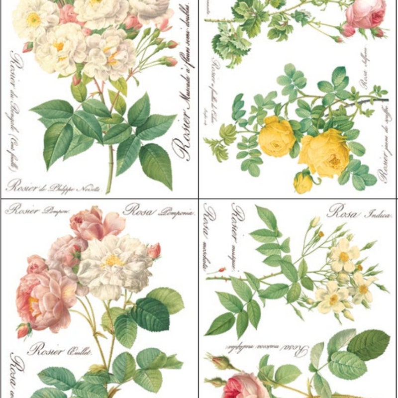 Paint Transfers - Etsy