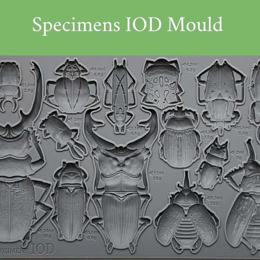 IOD Specimens Mould * Iron Orchid Designs Beetles Bugs - Etsy