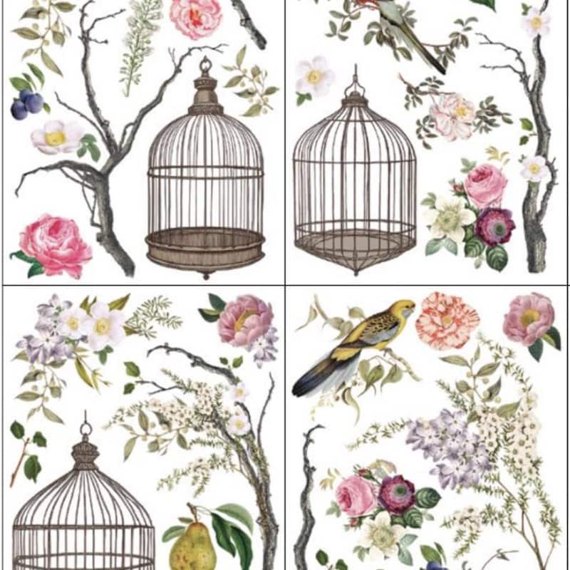 Bird Cages Transfers - Etsy
