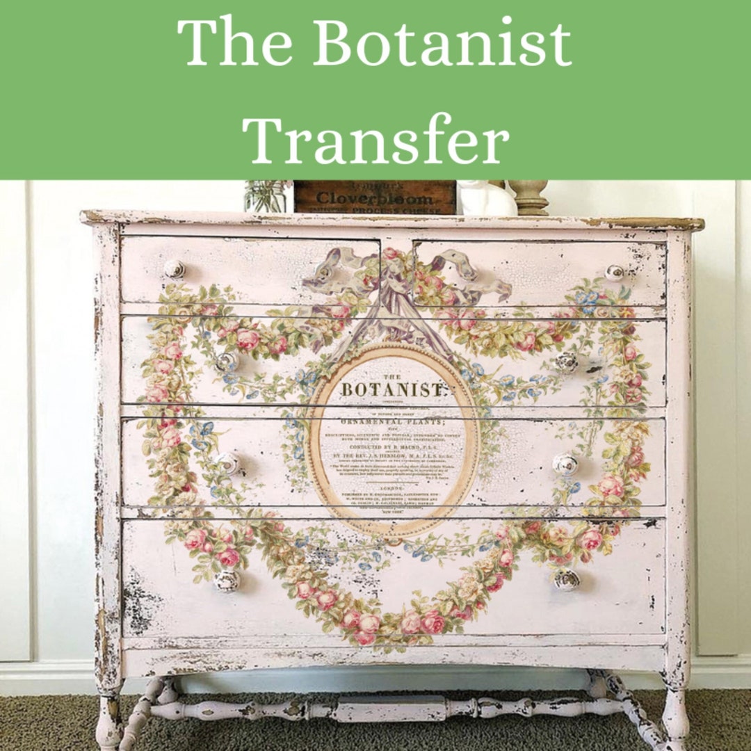 The Botanist IOD Transfer *iron Orchid Designs Floral Cabbage Rose Swag ...
