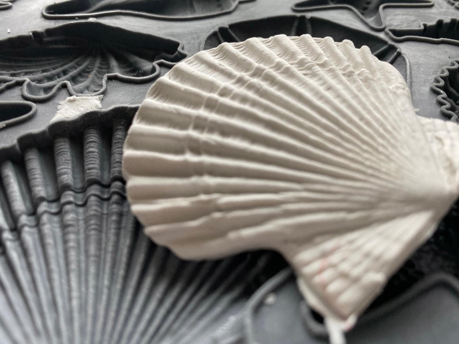 IOD Sea Shells Mould Iron Orchid Designs Starfish Seahorse Sea Shell ...
