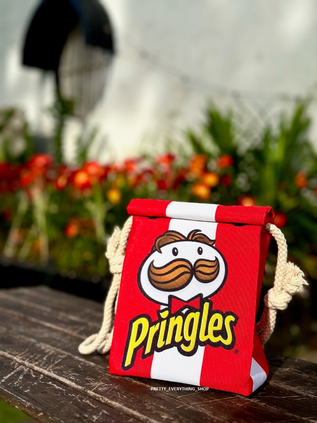 Pringles Sling Bag Recycled Polyester - Quirky Design - Etsy