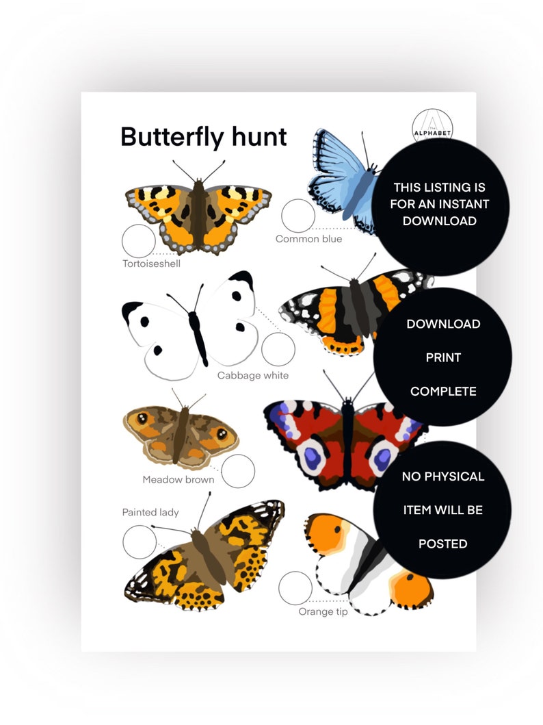 Butterfly Identification Sheet Types of Butterfly Print - Etsy Singapore