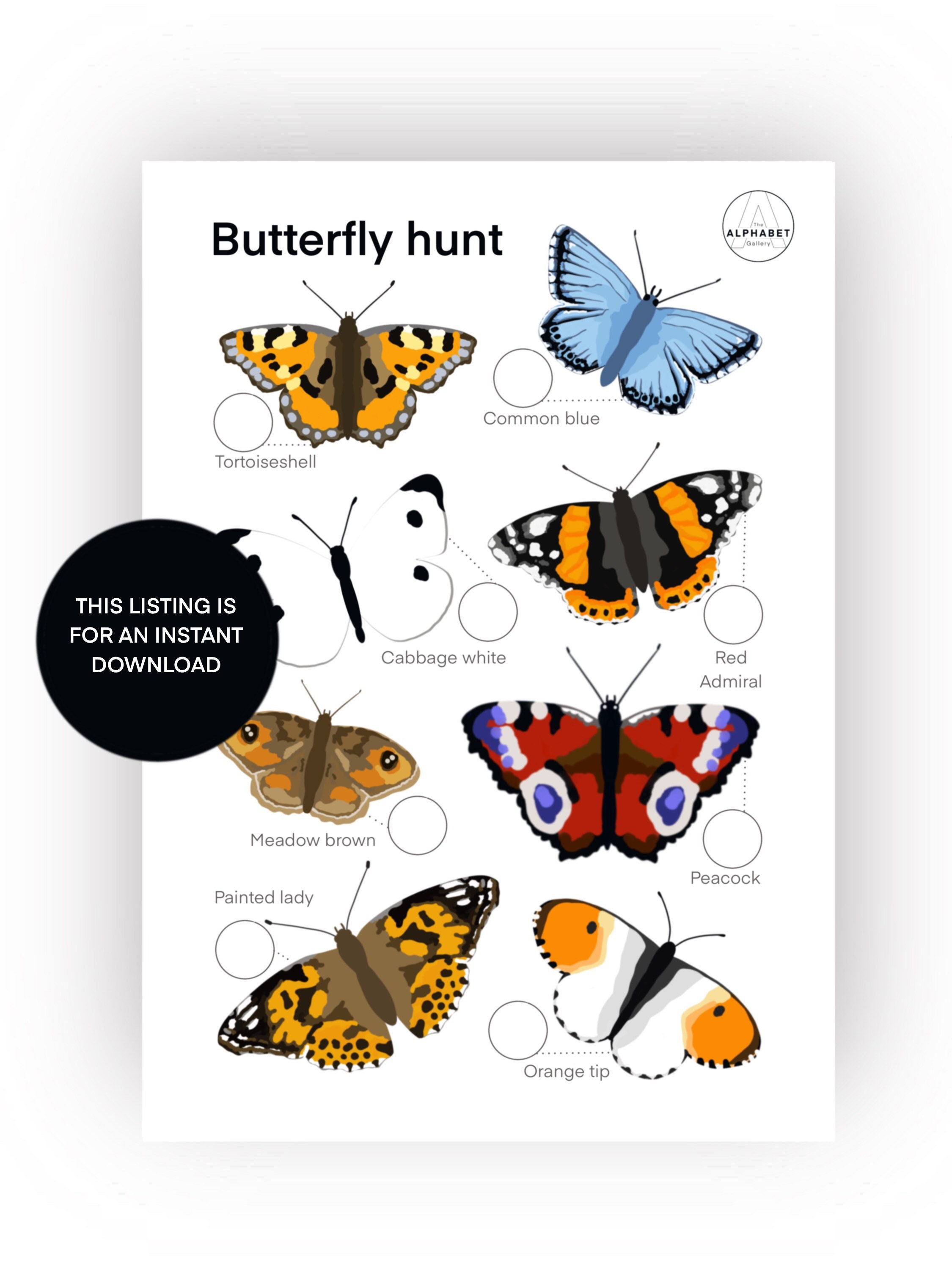 Butterfly Identification Sheet - Types of Butterfly Print, Toddler ...