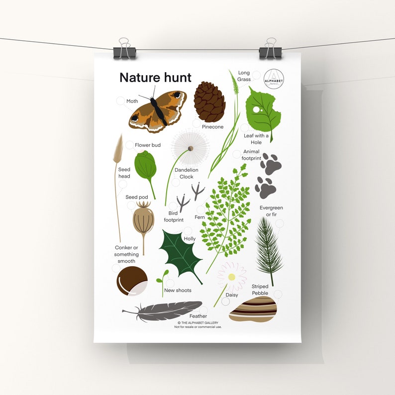 Woodland Treasure Hunt Printable for Kids Nature Scavenger - Etsy