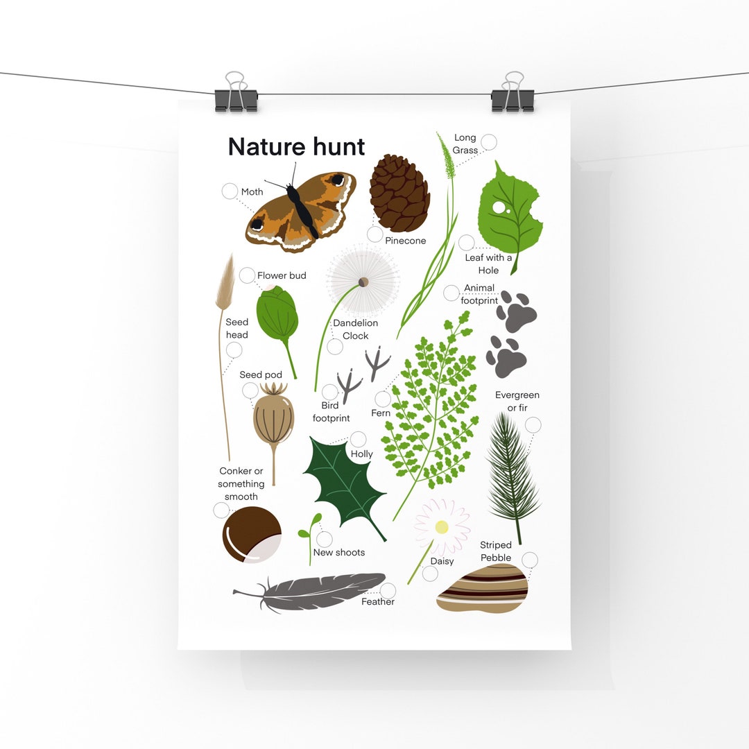 Woodland Treasure Hunt Printable for Kids - Nature Scavenger Hunt Game ...