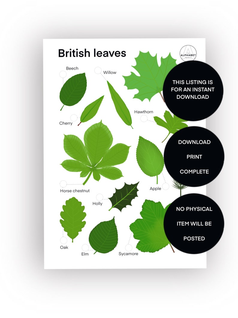 British Leaves Identification Printable for Kids - Educational Nature ...