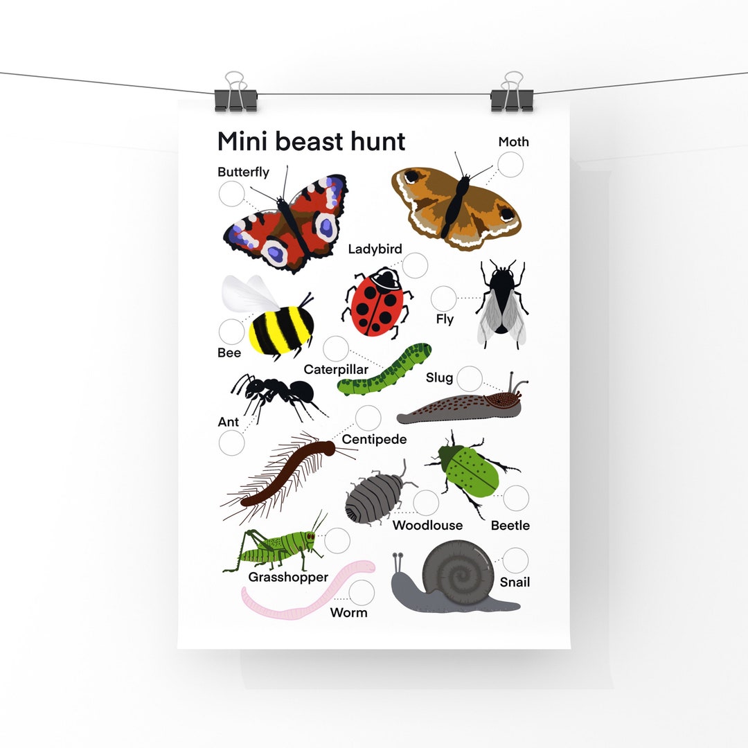 Mini Beast Treasure Hunt Printable for Kids - Insect Scavenger Hunt ...