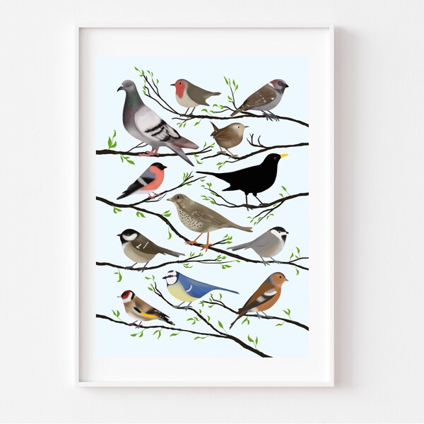 British Birds Poster - Etsy UK