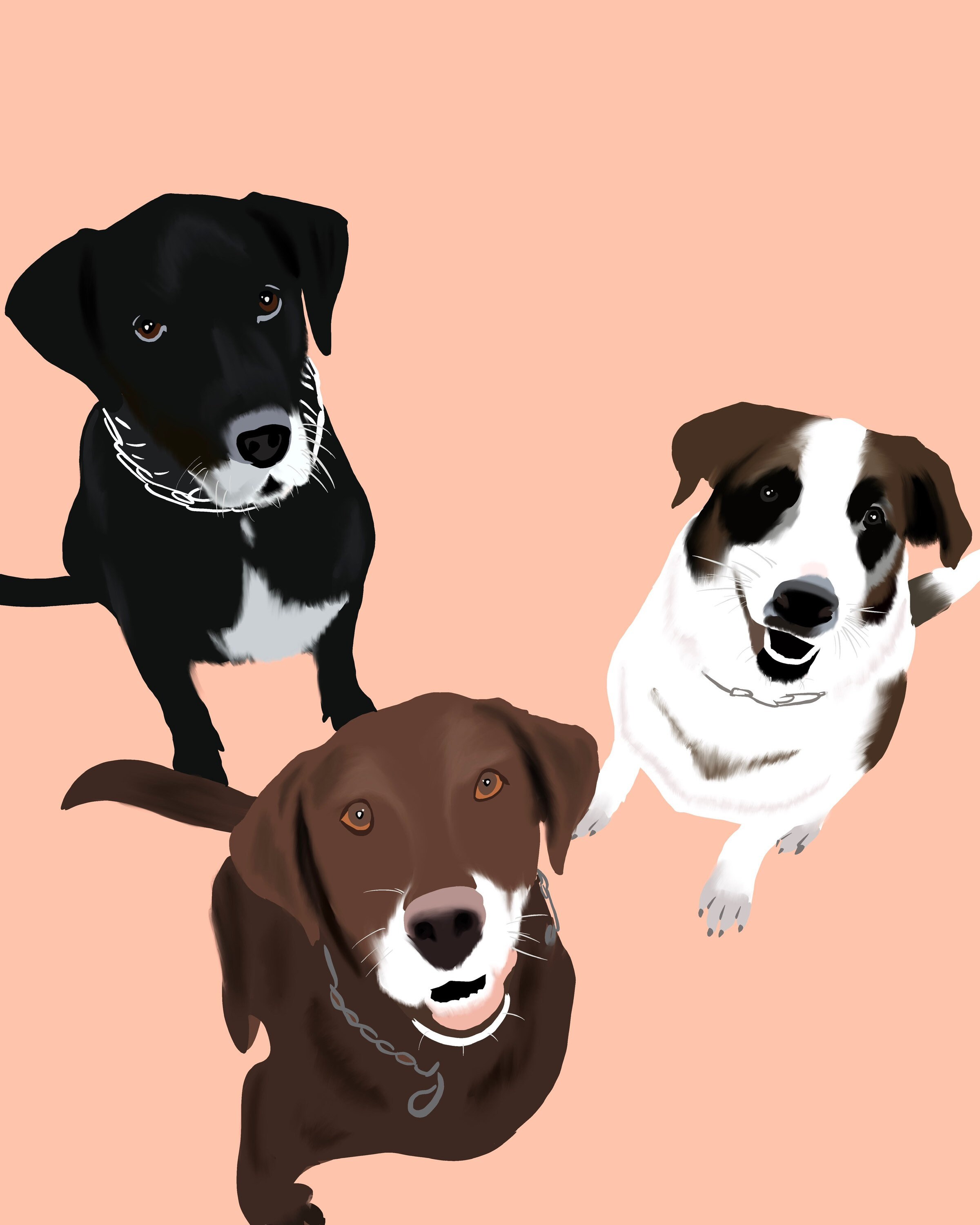 Custom Digital Illustration With detailed Background Pet | Etsy