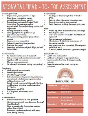 NICU Neonatal Head to Toe Assessment Printable UPDATED - Etsy Canada