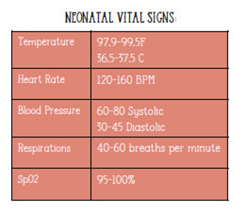 NICU Neonatal Head to Toe Assessment Printable UPDATED - Etsy Canada