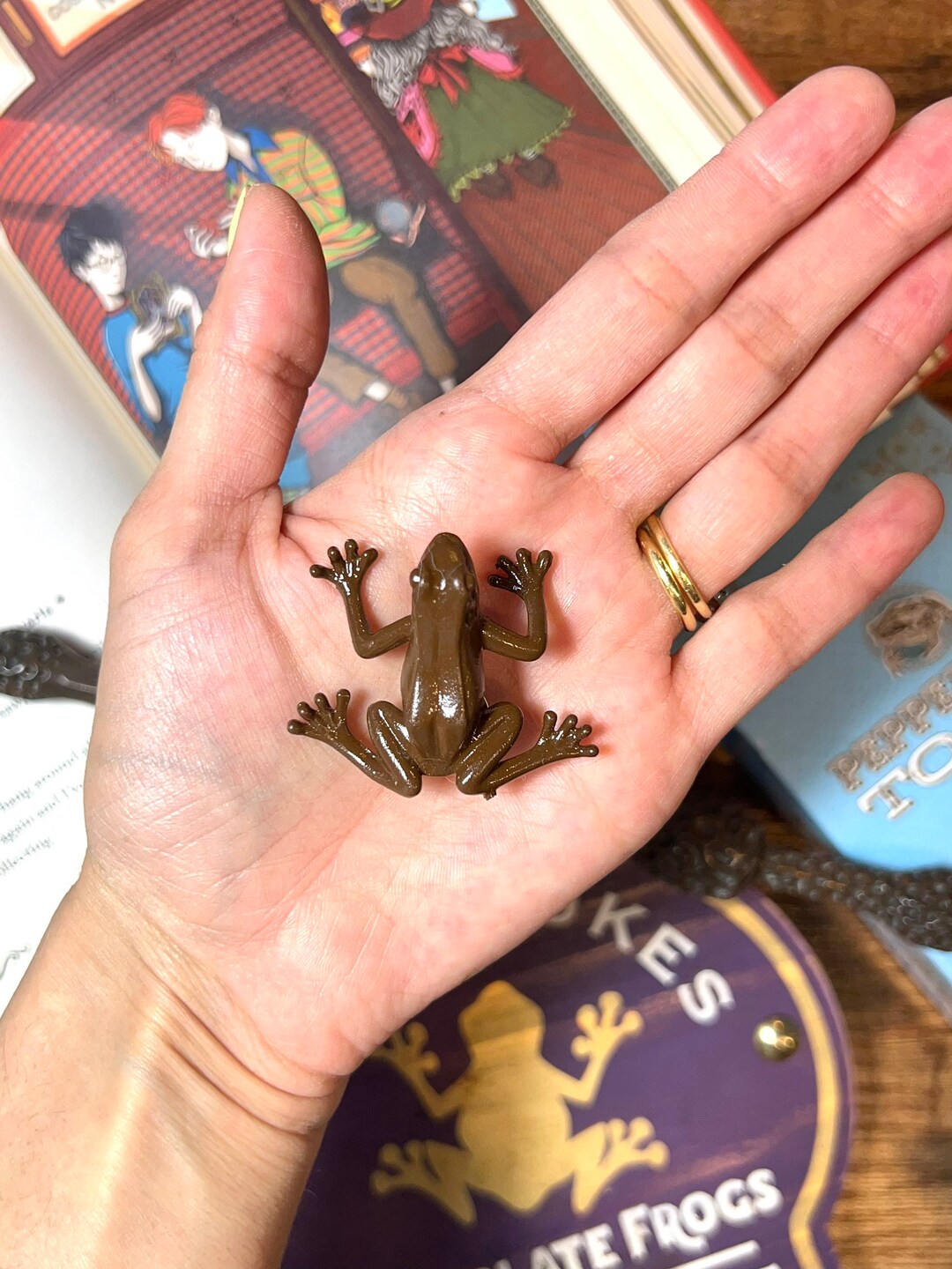 Magical Frog & Toad Pins - Etsy