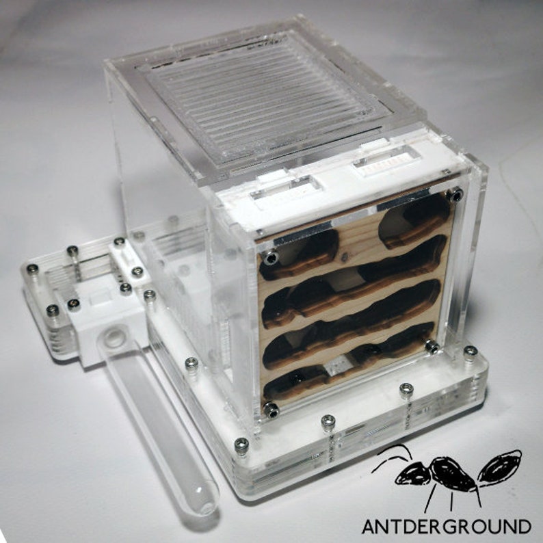 Wooden Vertical Ant Nest / Ant Farm / Formicarium / Anthill - Etsy
