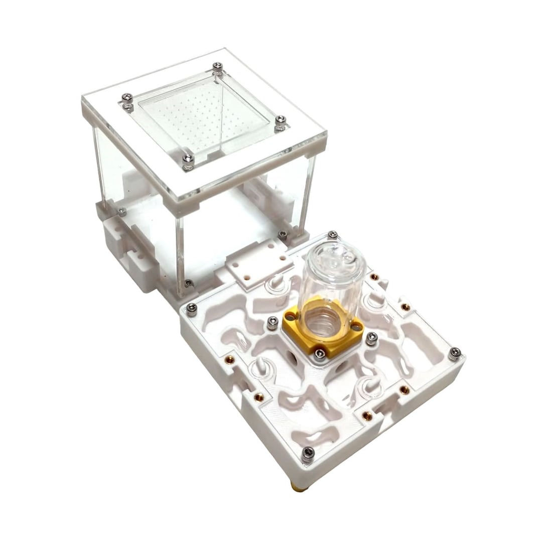3D Modular Anthill Kit (v2)(s) | Ant Nest 10x10 (cm) + Foraging 10x10 ...