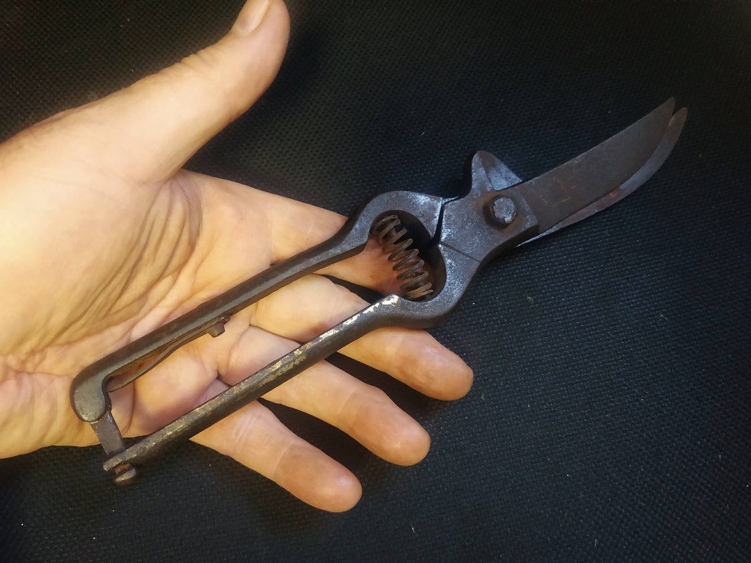 Antique Poultry SCISSORS Eagle Head - Etsy