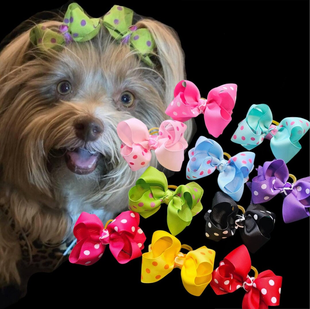 Polka Dot Dog Hair Bow, 3-3.5