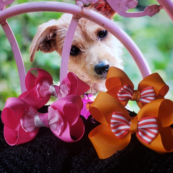 Dog Show Bow Pink - Etsy