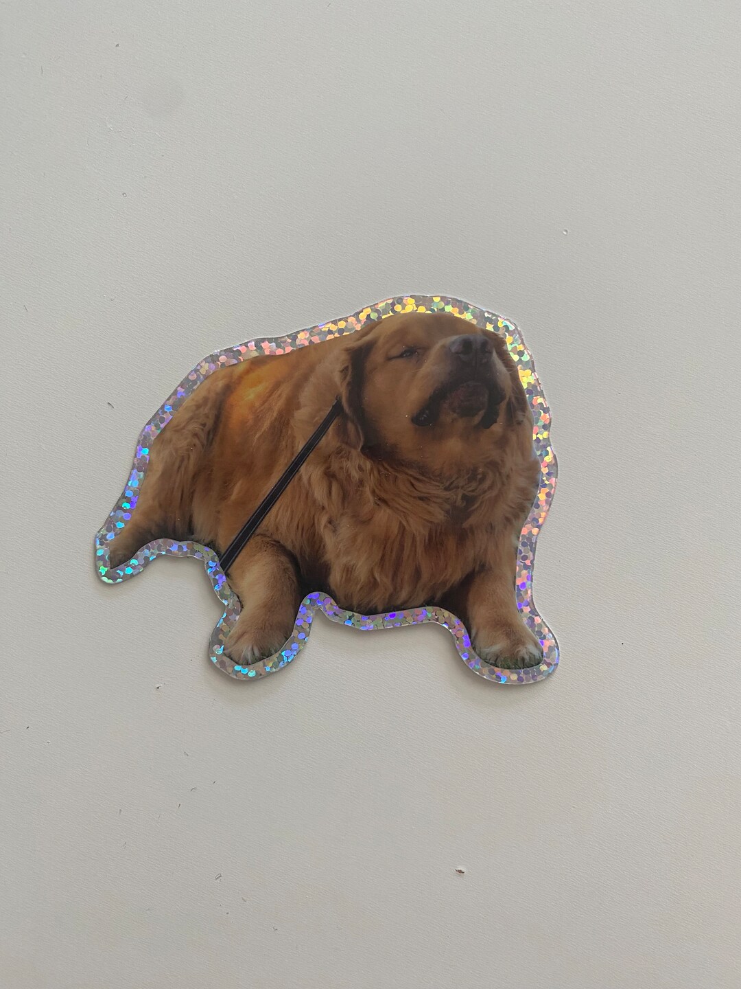 Glitter Border Mid Sneeze Phil Sticker - Etsy